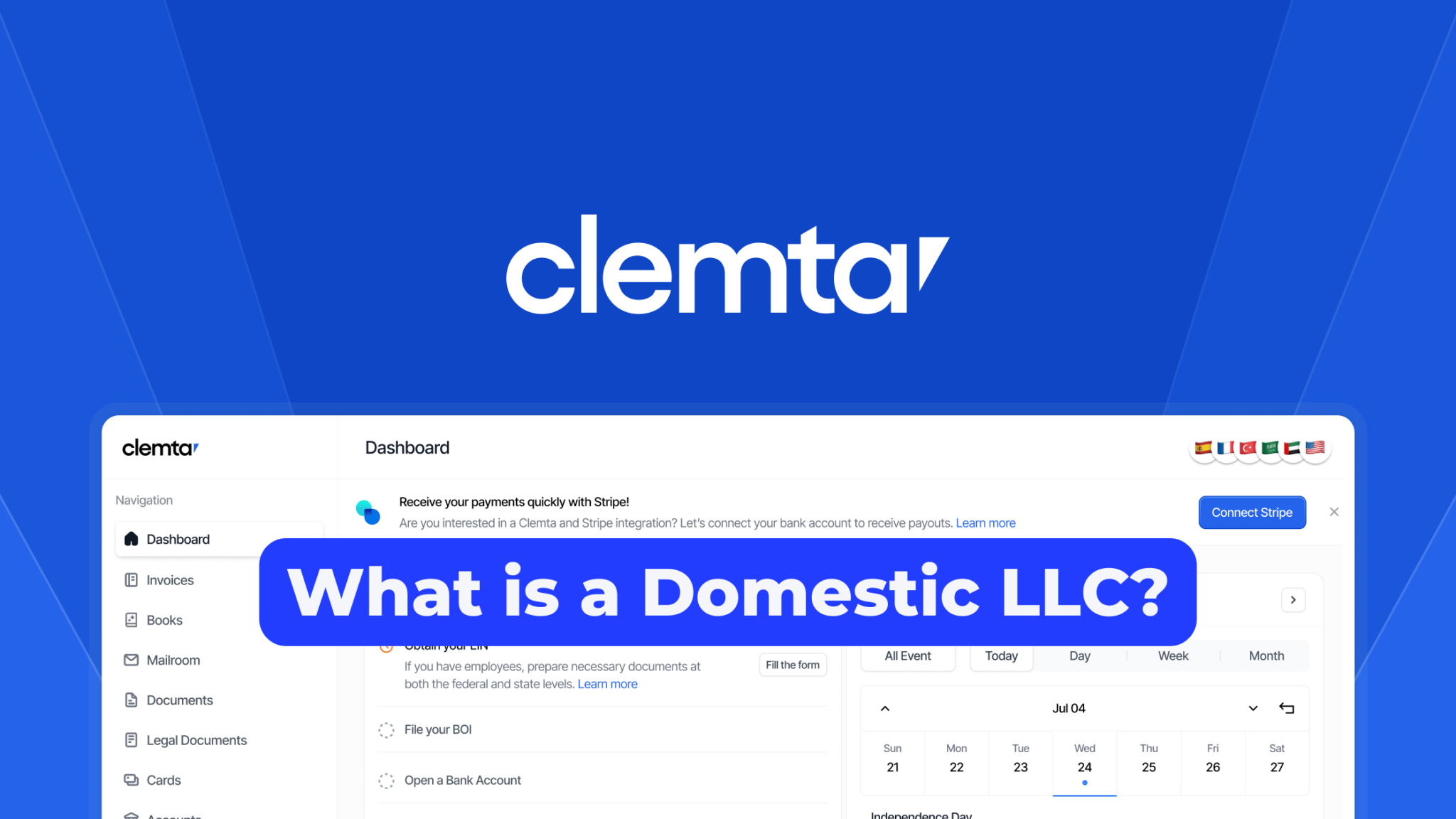 What is a Domestic LLC? Everything You Need to Know